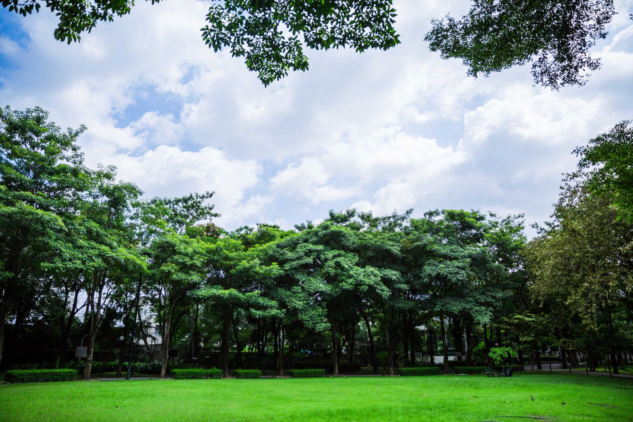 Green area of campus – Sustainability @ KMUTT