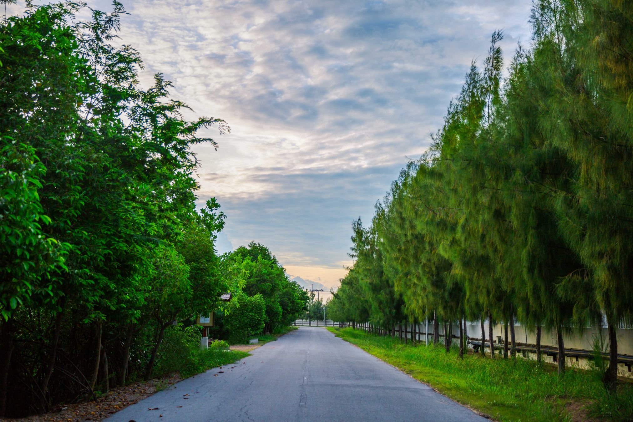 Green area of campus – Sustainability @ KMUTT